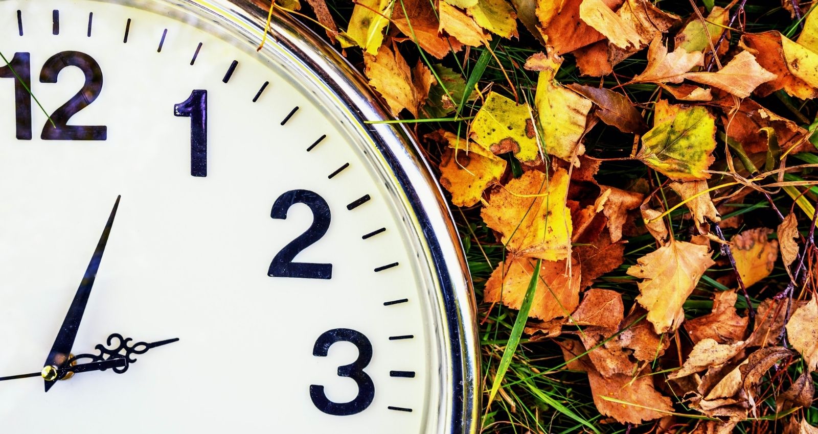 Best Outdoor Analog Clocks for Your Yard and Garden - Patio Gateway