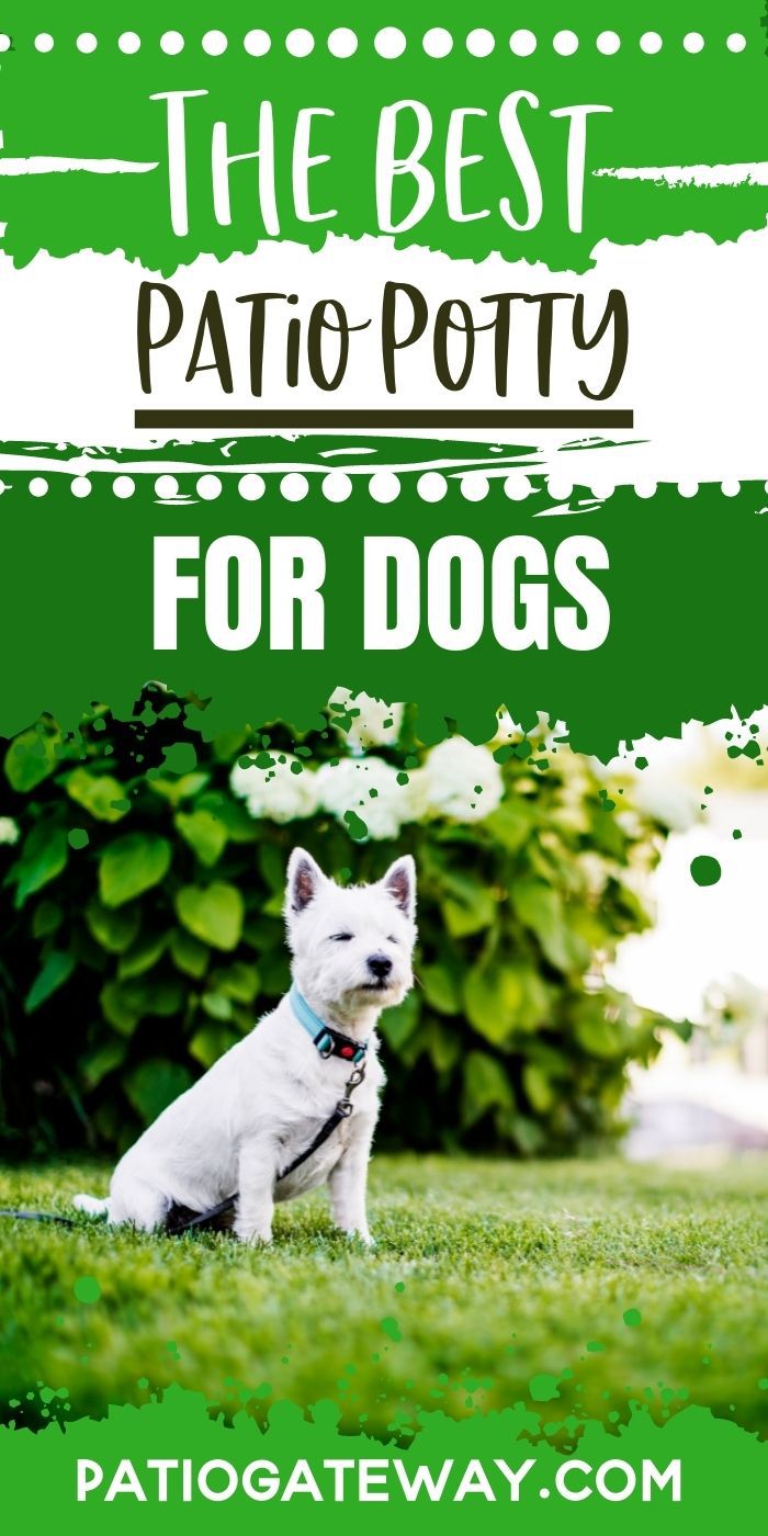 Best Patio Potty for Dogs - Patio Gateway