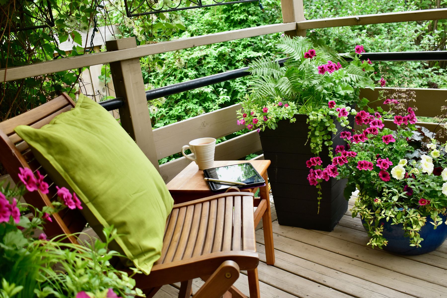 Cheap Ways to Block My Neighbor's View into my Backyard - Patio Gateway